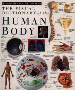 Study Guide-The Human Body - St. Ignace Public Library
